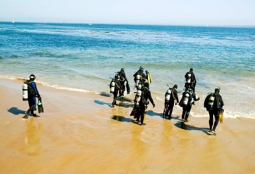 Shore Diving Made Simple: How To Set Up A Base Camp - Dive Training ...