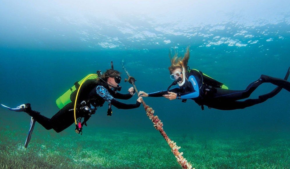 A Safe Habit: Safety Stops As Standard Procedure - Dive Training ...