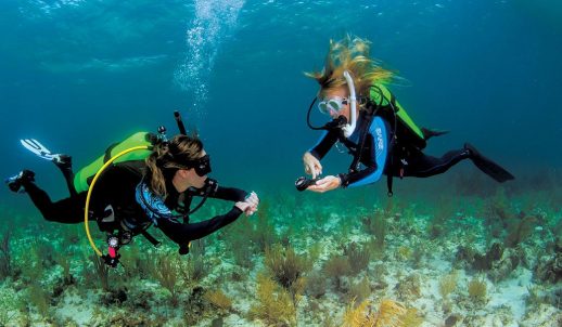A Safe Habit: Safety Stops As Standard Procedure - Dive Training ...