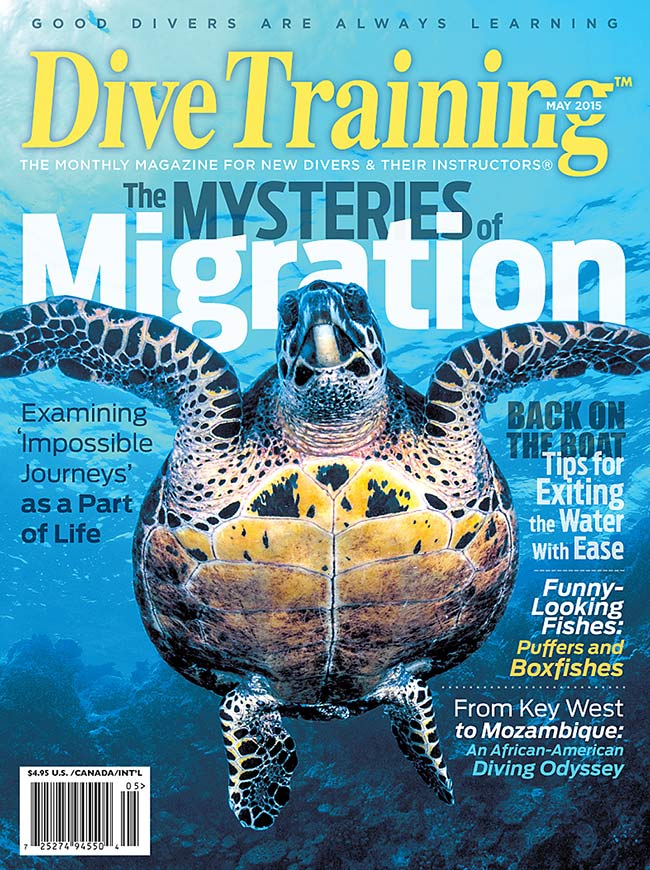25 Years Covers Archive - Dive Training Magazine | Scuba Diving Skills ...