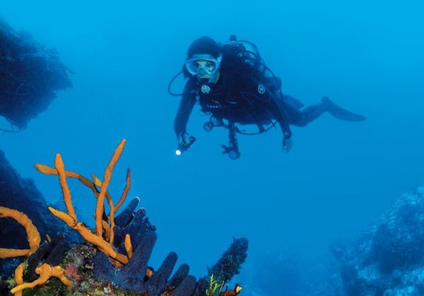 Defying Gravity: The Nuances of Neutral Buoyancy - Scuba Diving News ...