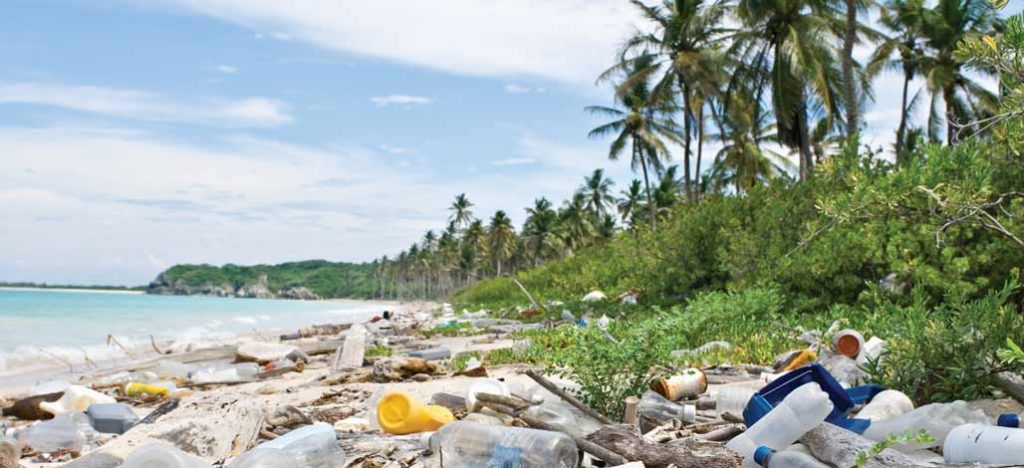 In A Styrofoam Sea: Addressing The Problem Of Plastic Pollution In Our ...