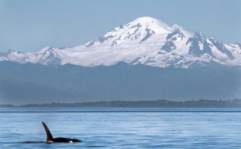 Exploring America’s Pacific Northwest: The San Juan Islands - Dive ...