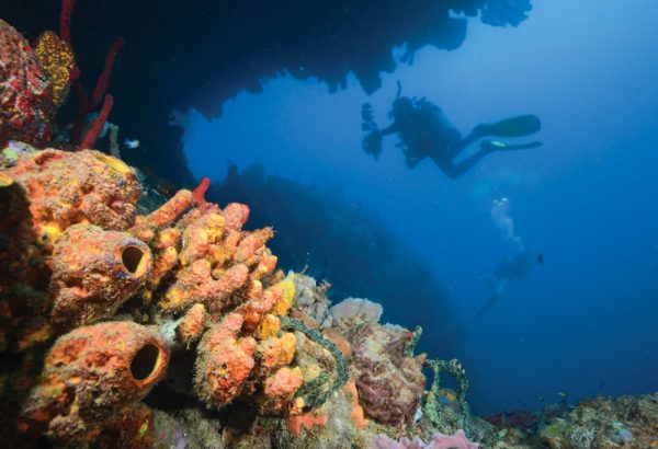 The Indomitable Spirit Of Dominica - Dive Training Magazine