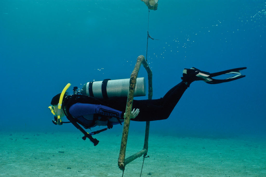 Air Consumption Essentials: How To Breathe Like A Pro - Dive Training ...